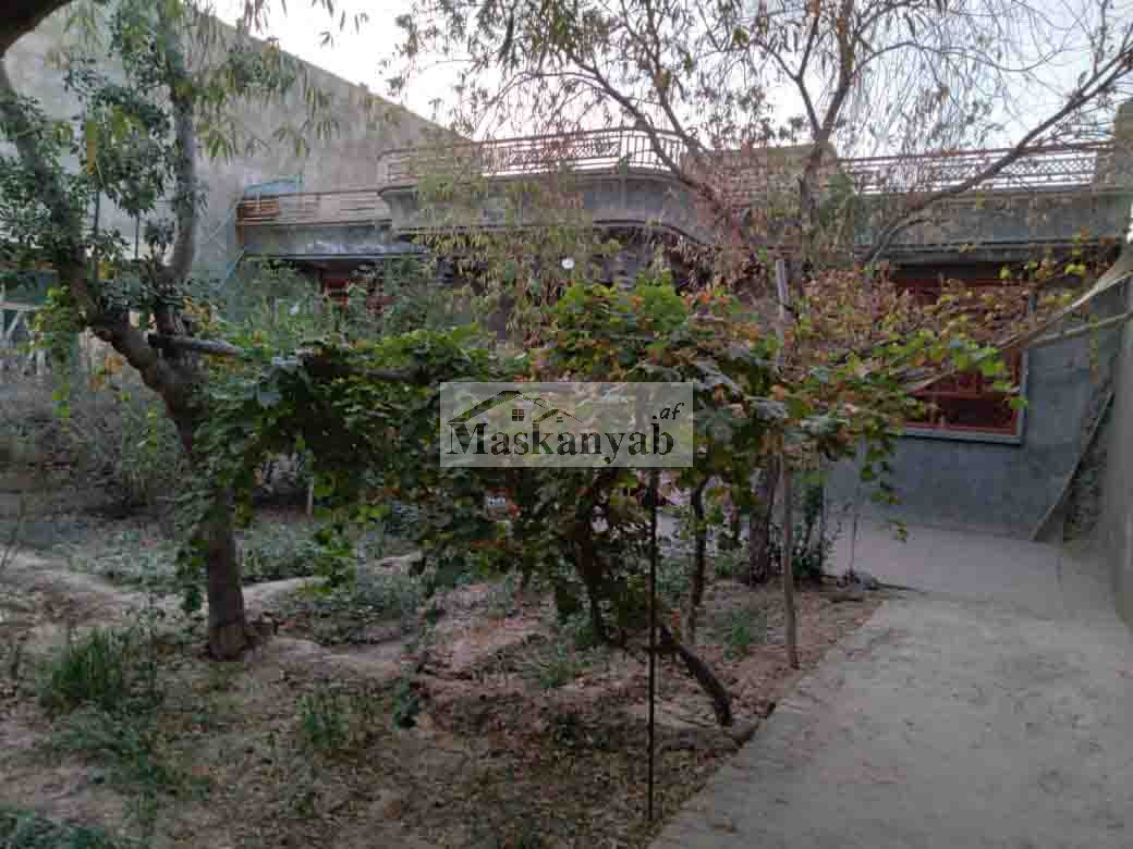 Concreted House for Sale in Mazar-e-Sharif - MaskanYab.af