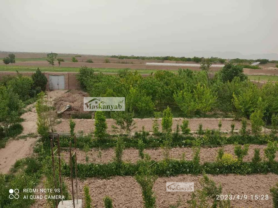 Big garden for sale at Sarak-e Pol Hashimi, Herat - MaskanYab.af