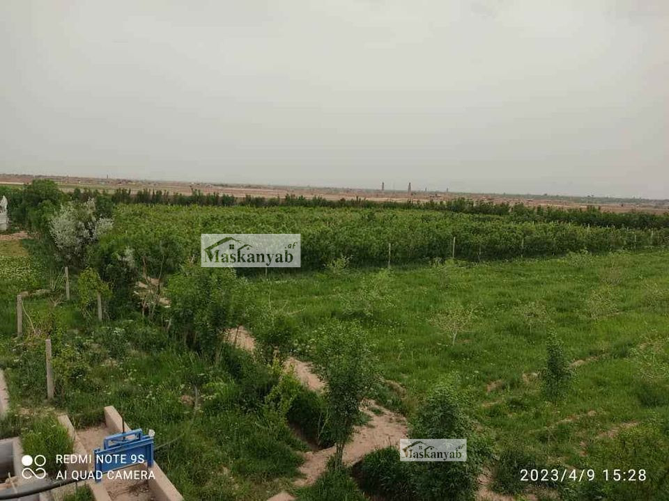 Big garden for sale at Sarak-e Pol Hashimi, Herat - MaskanYab.af