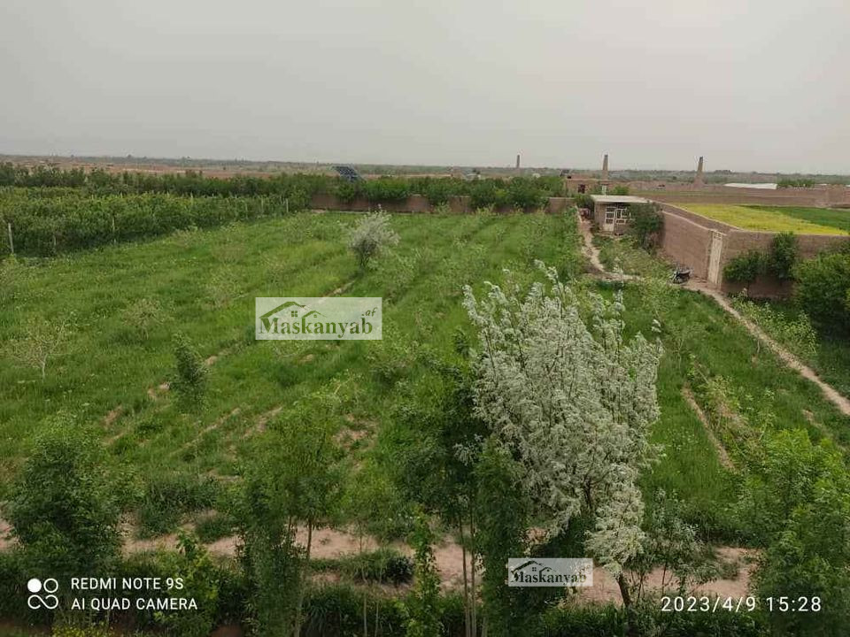 Big garden for sale at Sarak-e Pol Hashimi, Herat - MaskanYab.af
