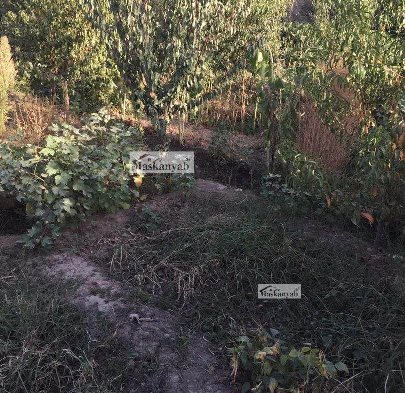 Four-side wall land for sale in Takhar Province - MaskanYab.af