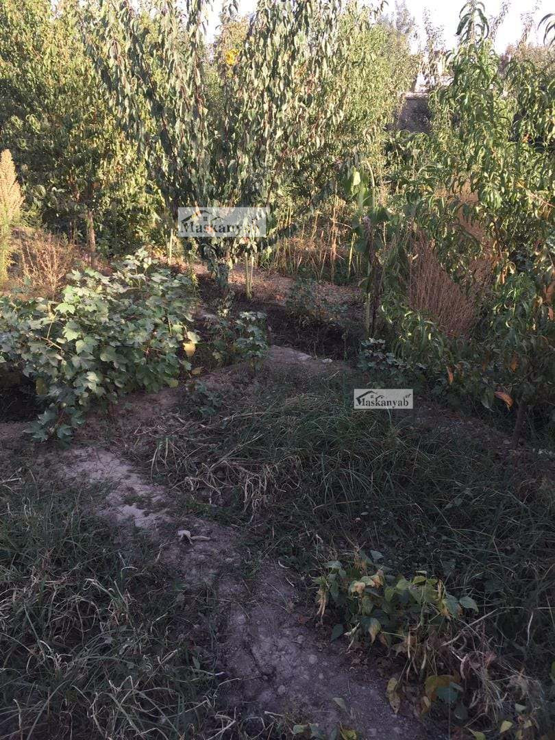Four-side wall land for sale in Takhar Province - MaskanYab.af