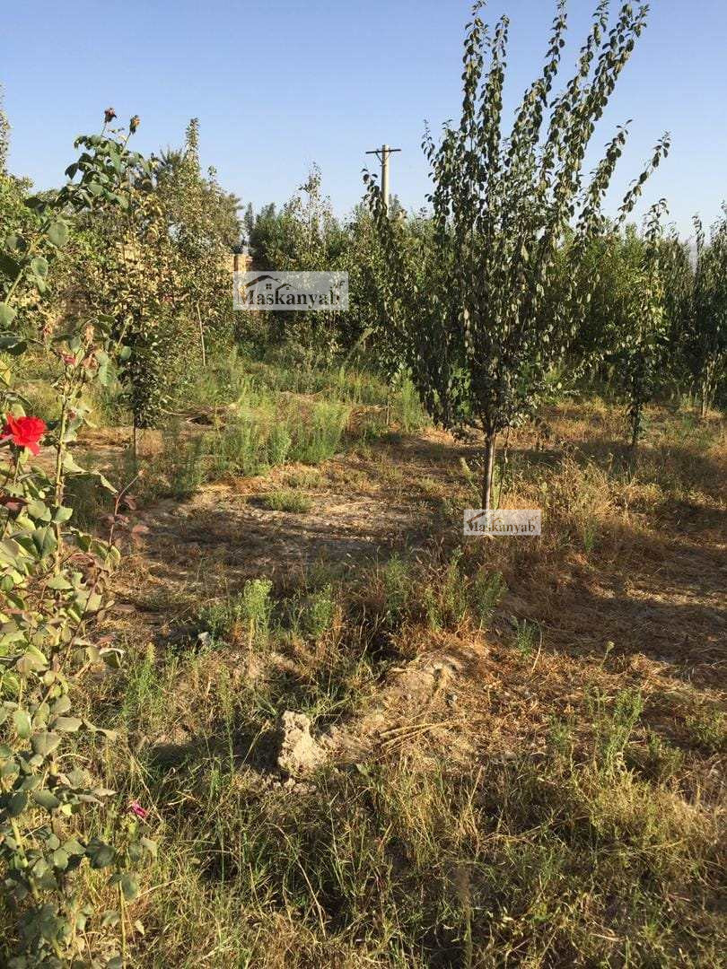 Four-side wall land for sale in Takhar Province - MaskanYab.af