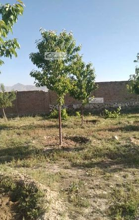 Four-side-wall land for sale at north-west of Qargha - MaskanYab.af
