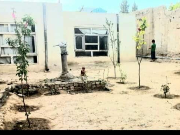 Real-estate-homes-for-sale in Kabul,